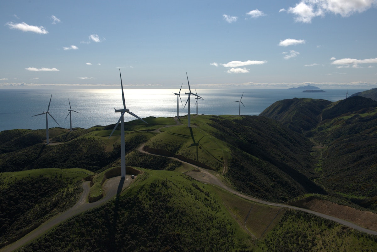 Reece New Zealand supports renew | The Reece Group