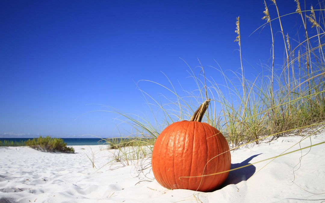 Florida in the Fall