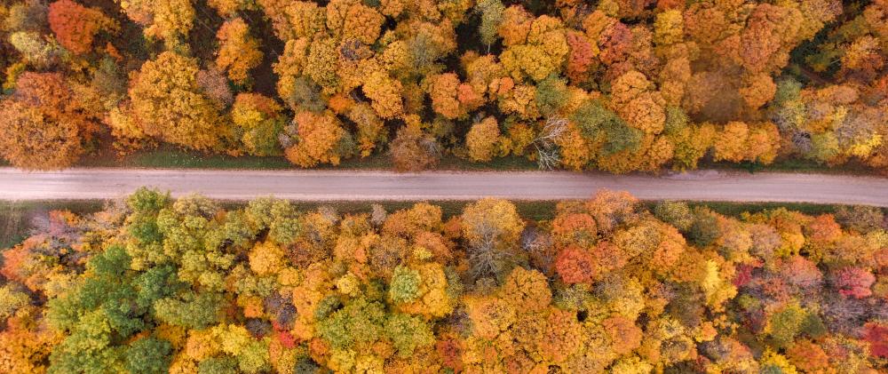 3 Steps to Planning the Perfect Fall Road Trip