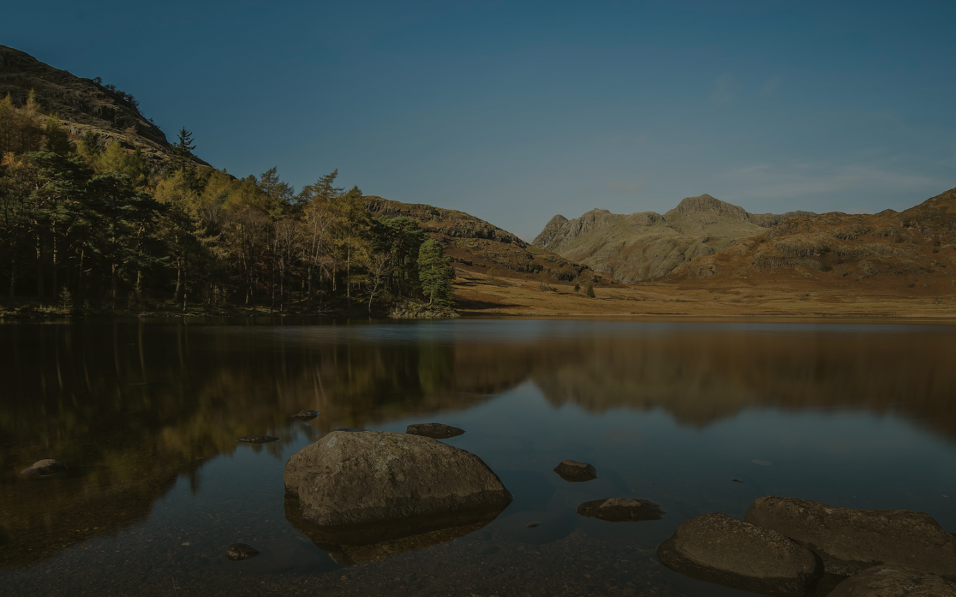 Nature photographer David Roberts