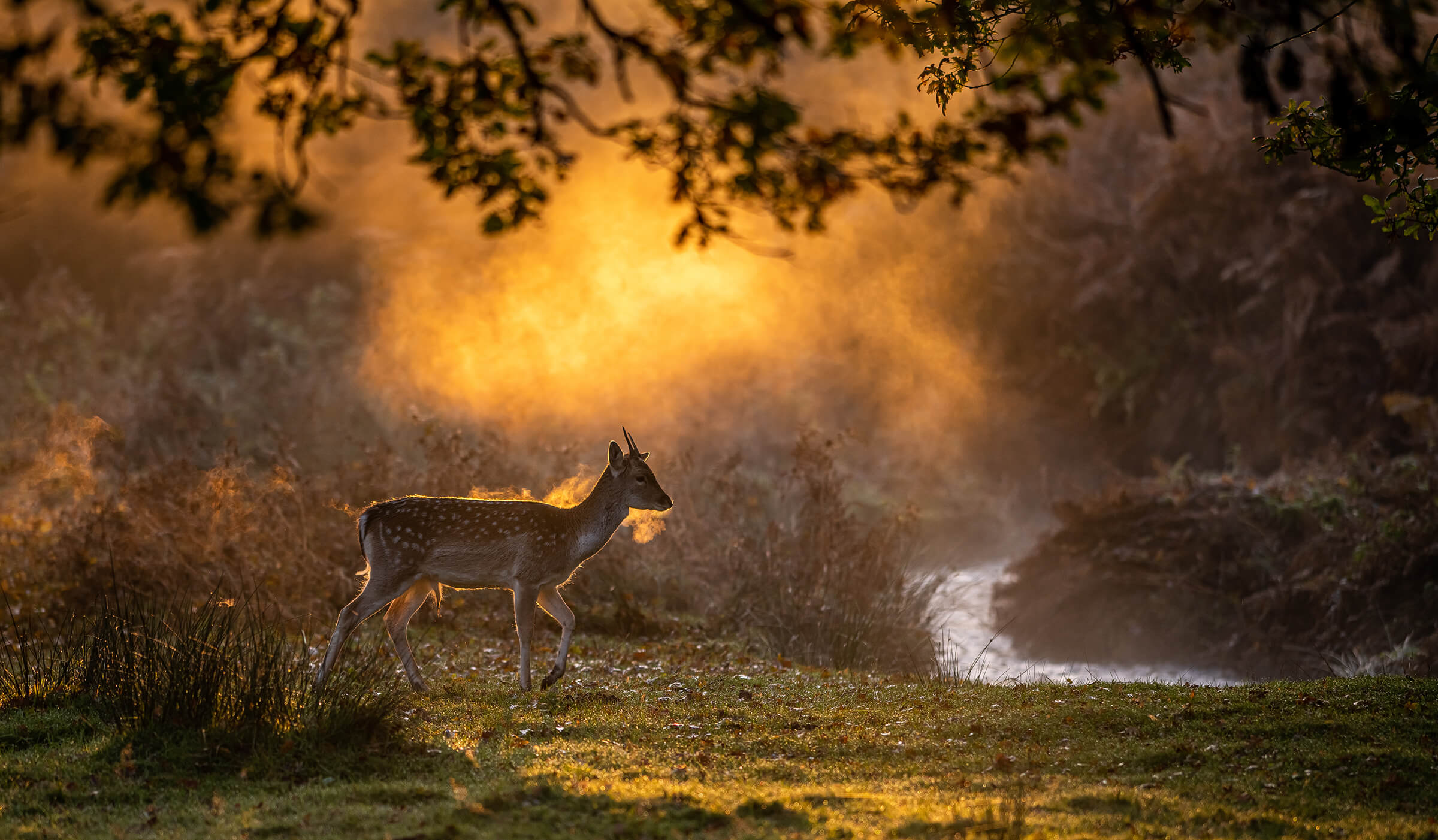 Photography experience days with David Roberts