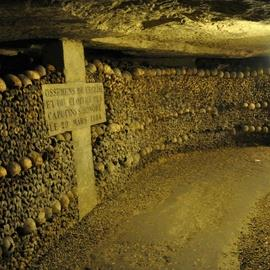 School French Culture Trip to Paris | Halsbury Travel