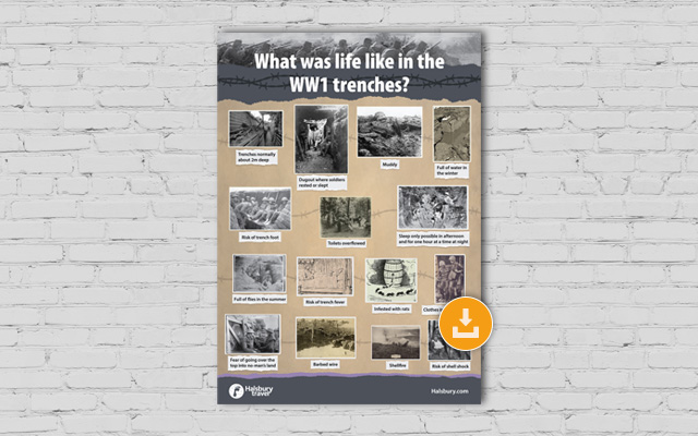 What Was Life Like in the WW1 Trenches?