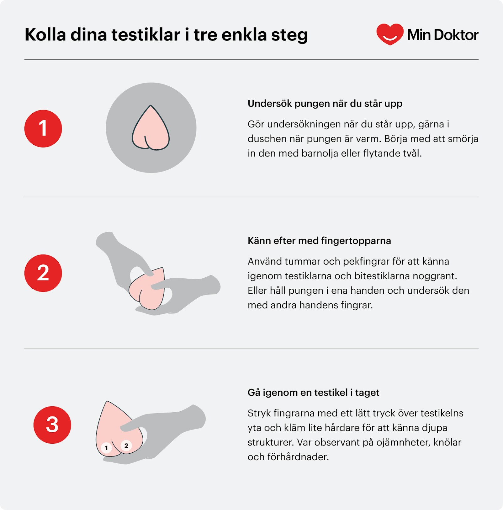 Så undersöker du dina testiklar · Min Doktor