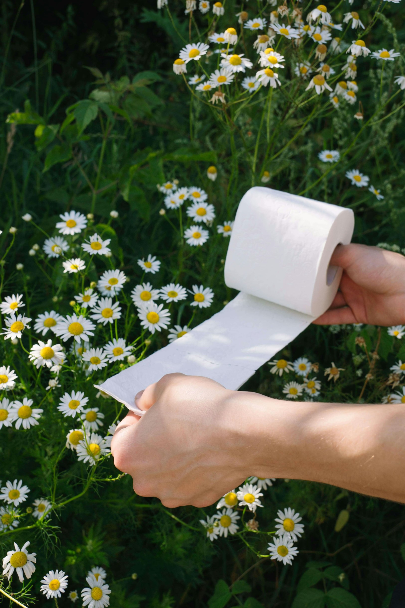 Det här kan avföringen berätta om din kropp · Min Doktor