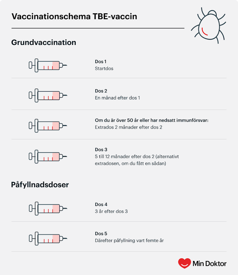 TBE-vaccinationsschema · Min Doktor