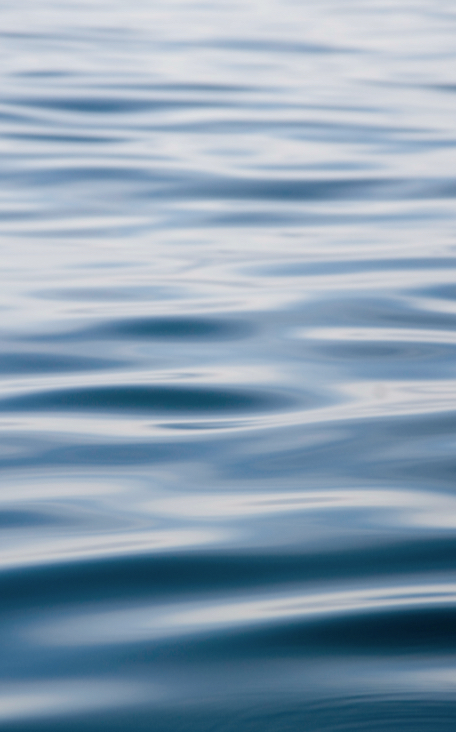 Our Staff - Highwater Aesthetics