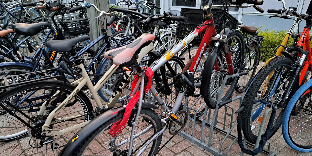 Mé první poznatky ze studia v Nizozemsku: kolo, veslování a Delft jako ...