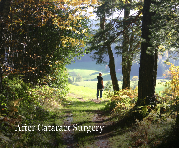 Best Lasik NYC | NYC's Top LASIK Specialist | Kelly Vision Center