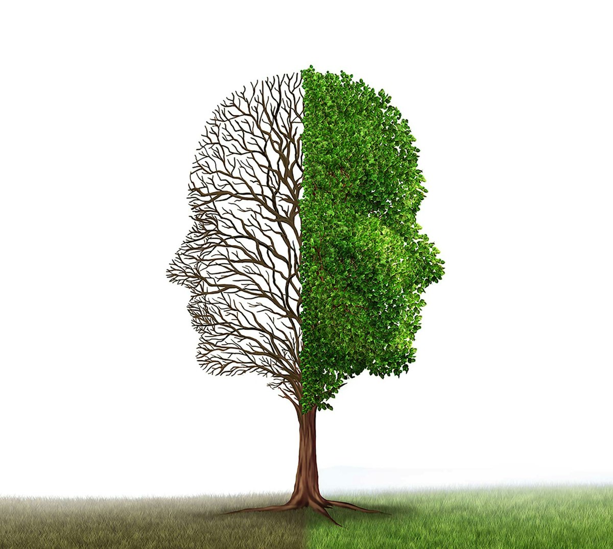 Fixed Mindsets vs. Growth Mindsets in Leaders | IECL