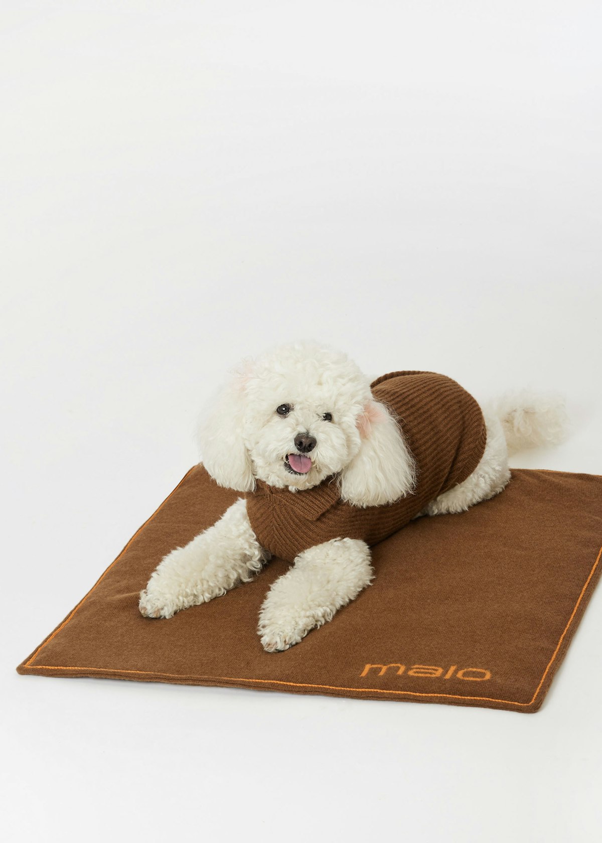 MOG: MALO FOR DOGS - luxury and comfort for our four-legged fashionistas