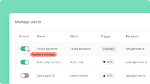 Introducing Observability: Payment analytics tool | Primer