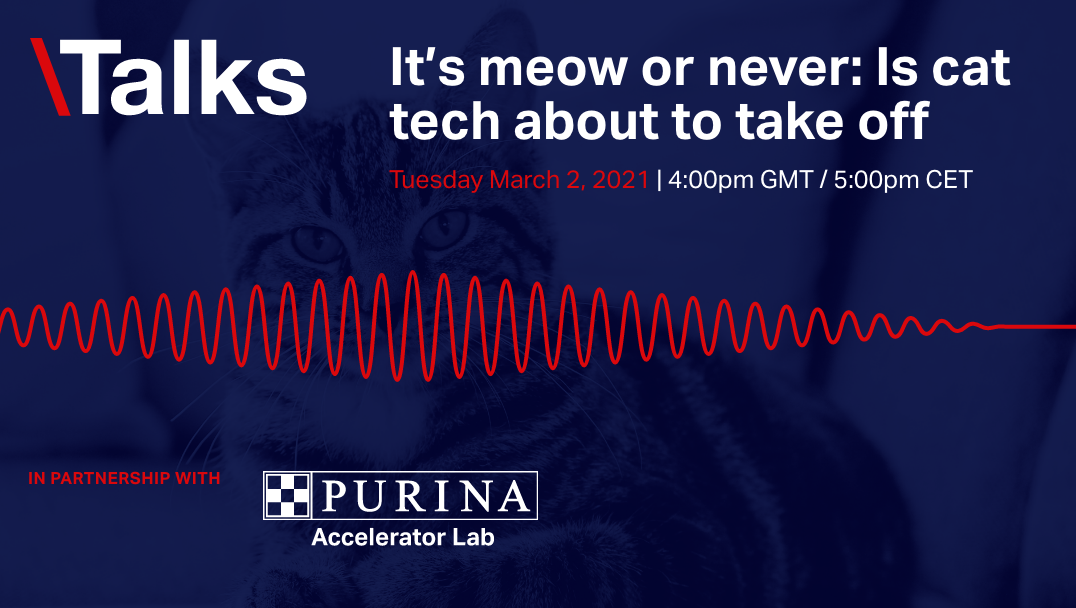 It’s meow or never: Is cat tech about to take off?