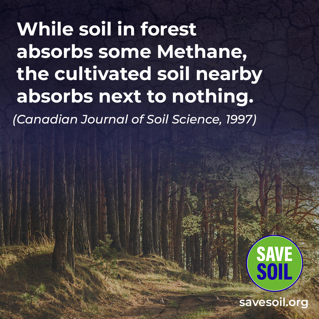 Save Soil Quotes