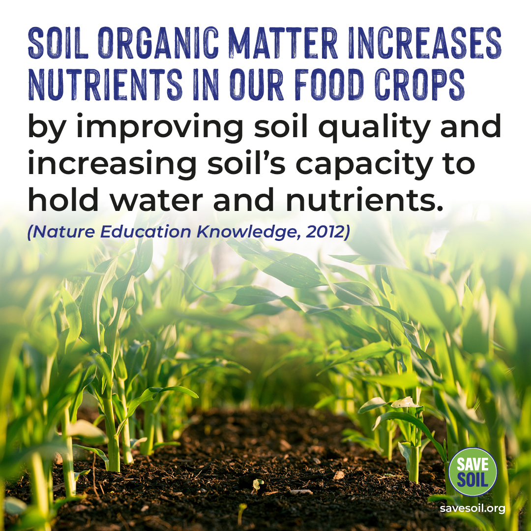 Conserve Soil Quotes Save Soil Quotes & Facts All You Need To Share