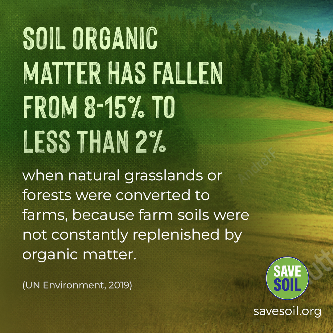 Conserve Soil Quotes Save Soil Quotes & Facts All You Need To Share