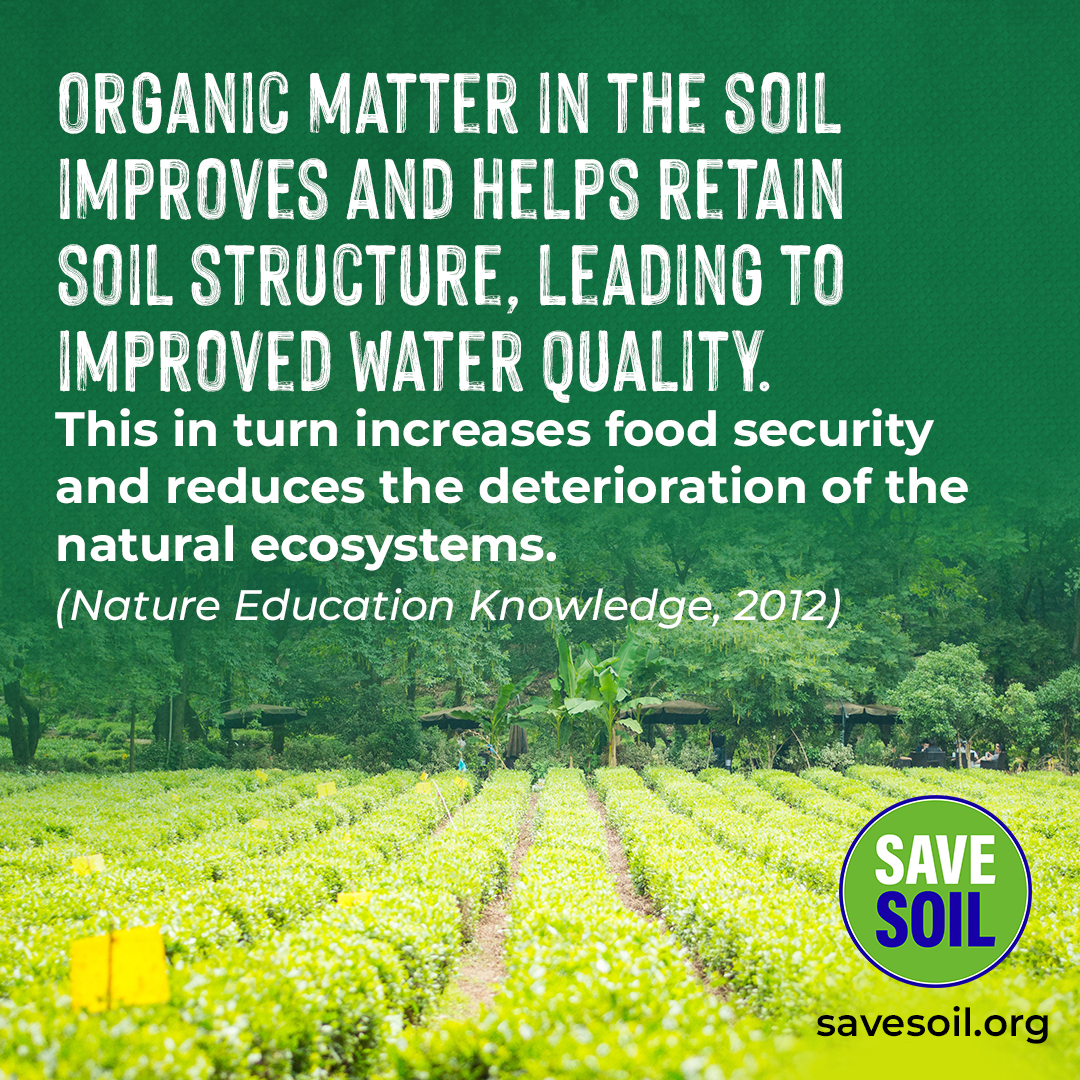Save Soil Quotes