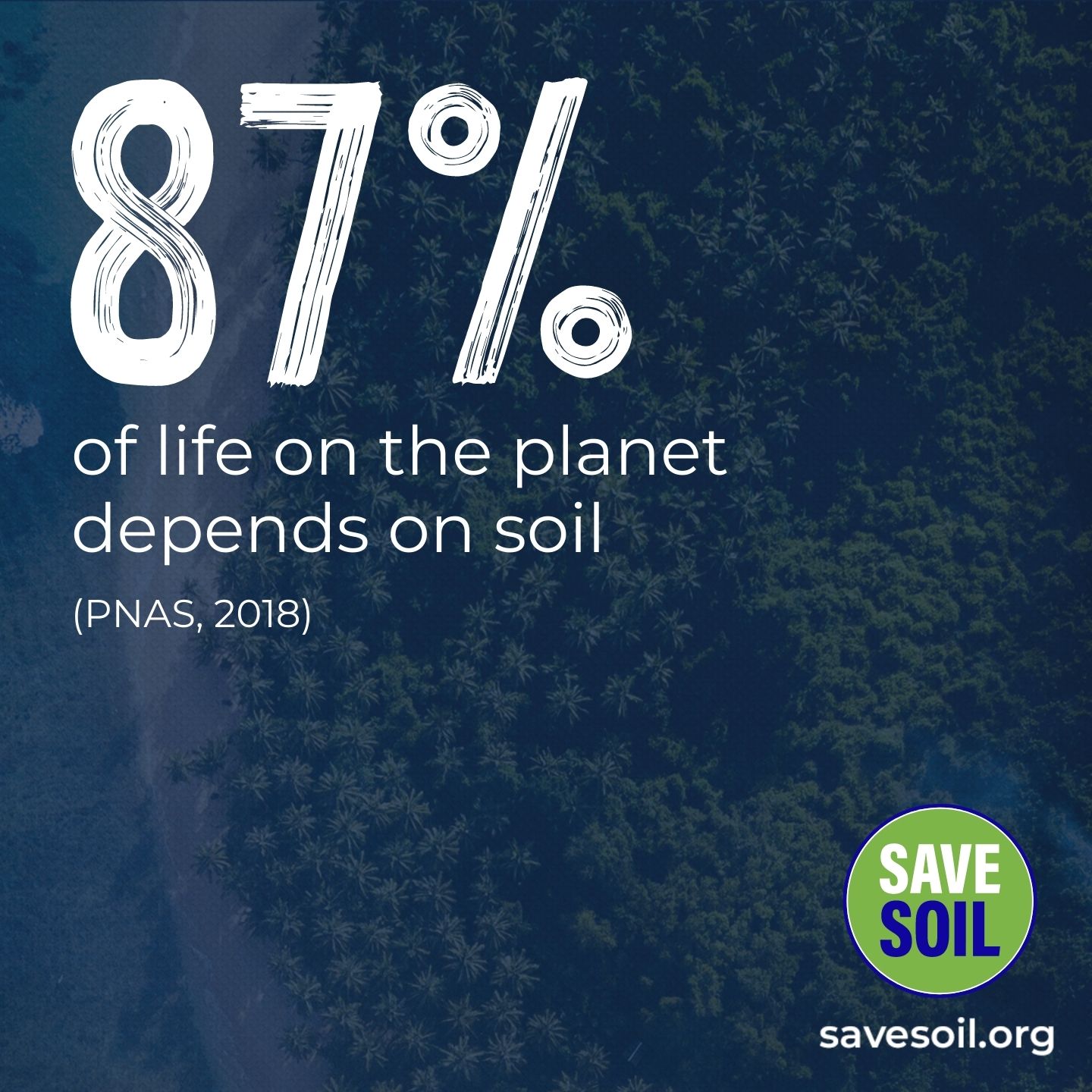 Save Soil Quotes