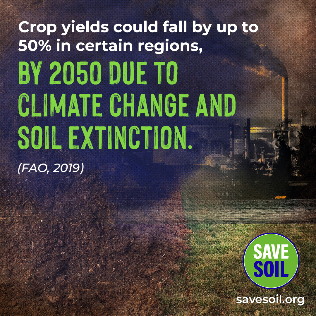 Save Soil Quotes