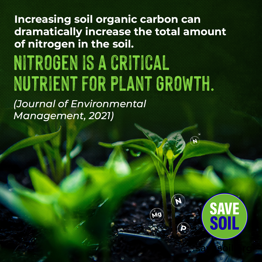 Conserve Soil Quotes Save Soil Quotes & Facts All You Need To Share