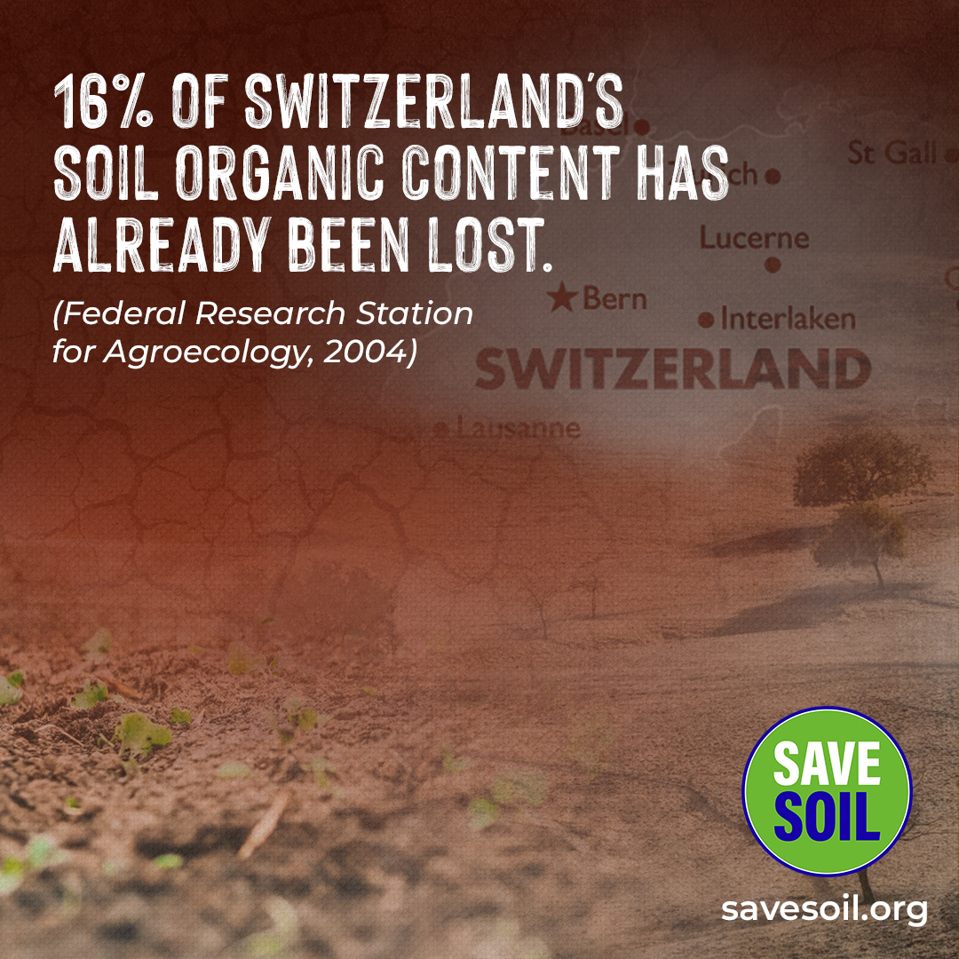 Save Soil Quotes