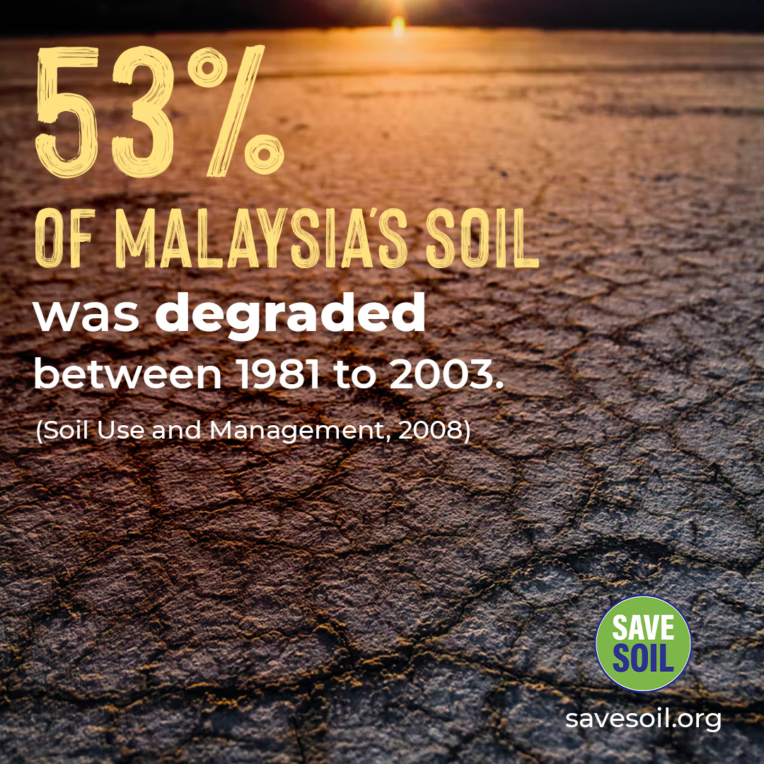 Save Soil Quotes
