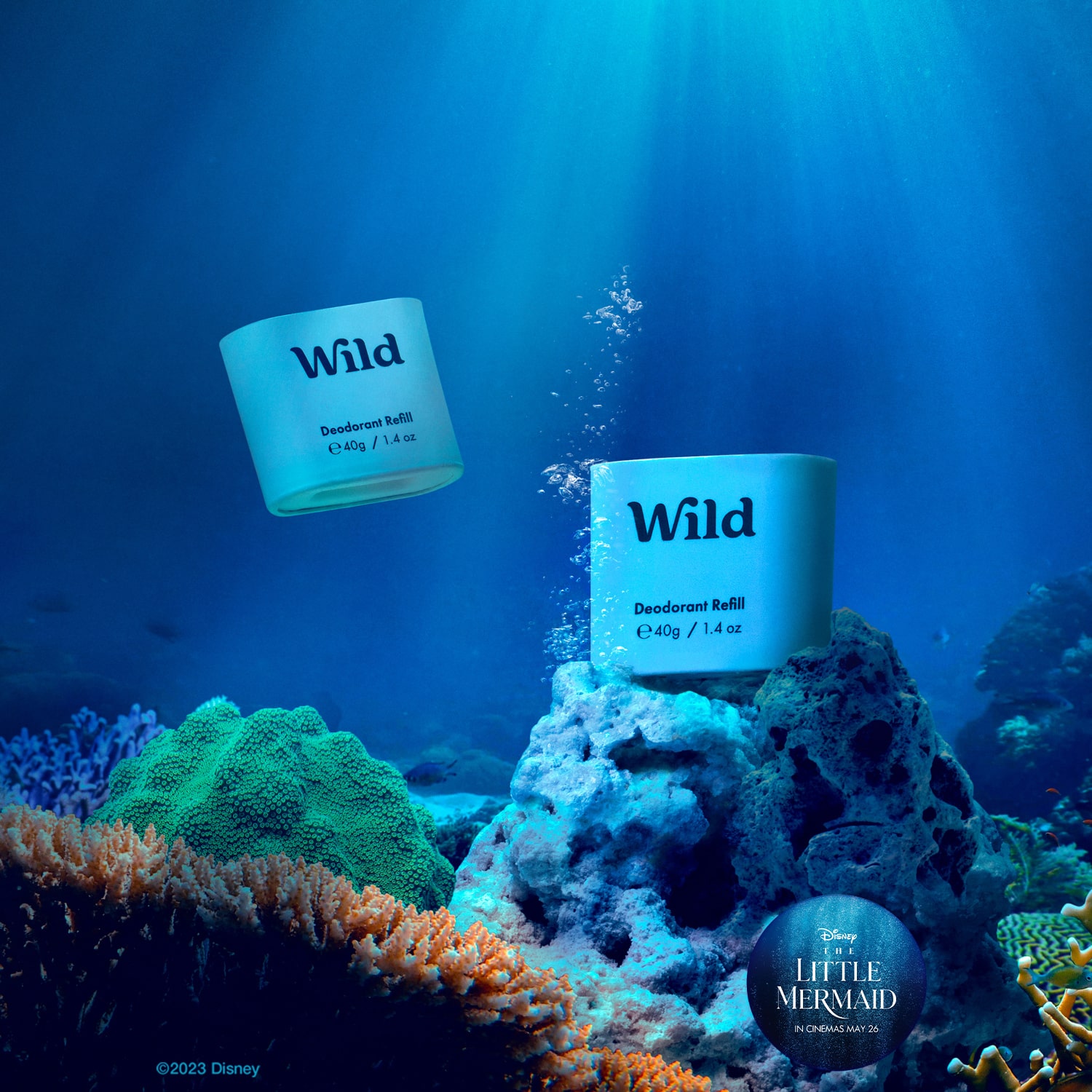 Ocean Mist Starter Pack - Wild