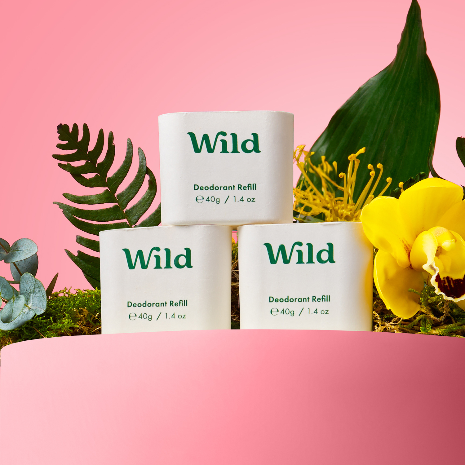 Rainforest Oasis Trio Pack - Wild NL
