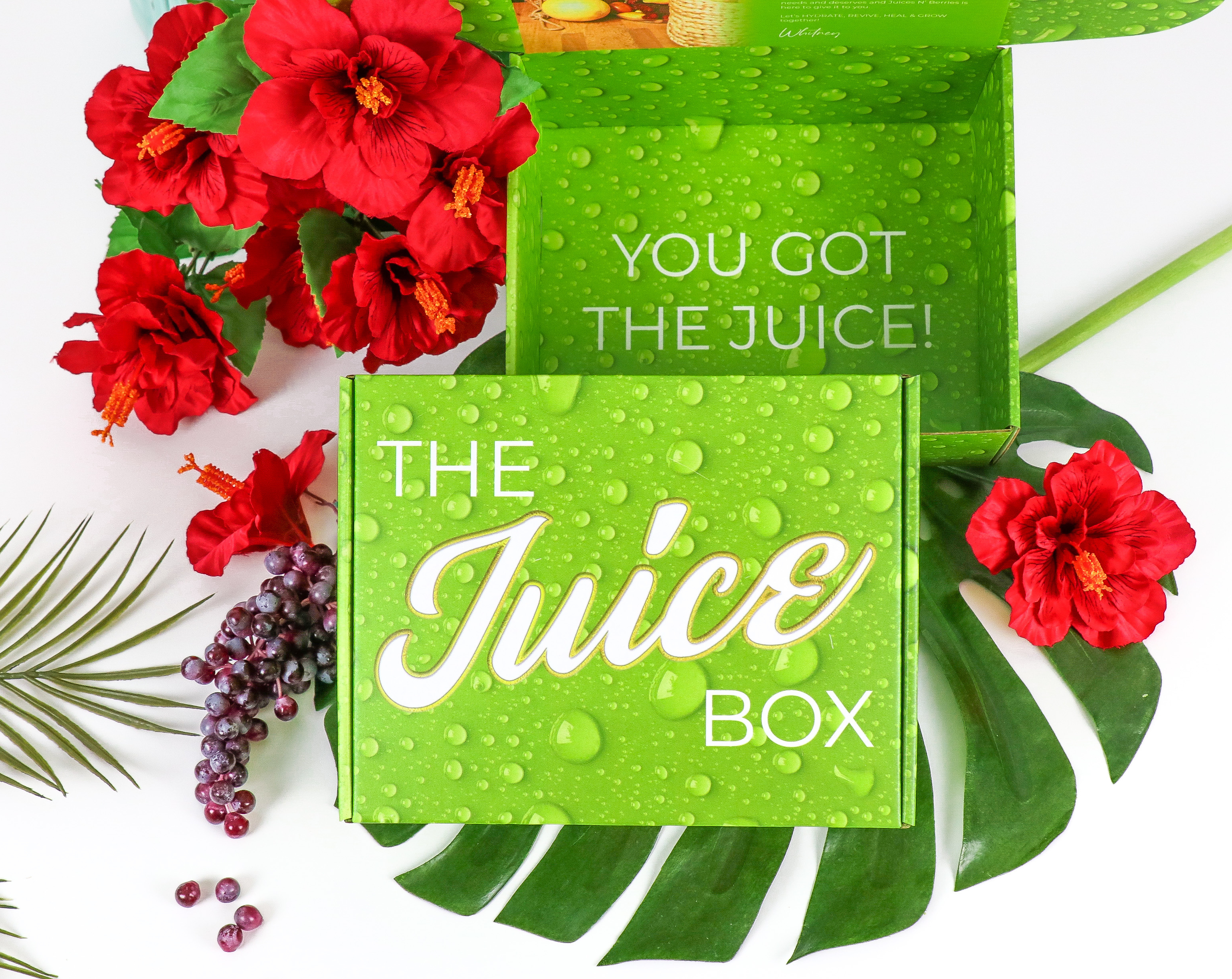 BoxUp | Custom-Printed Boxes & Packaging | Design Your Logo Box