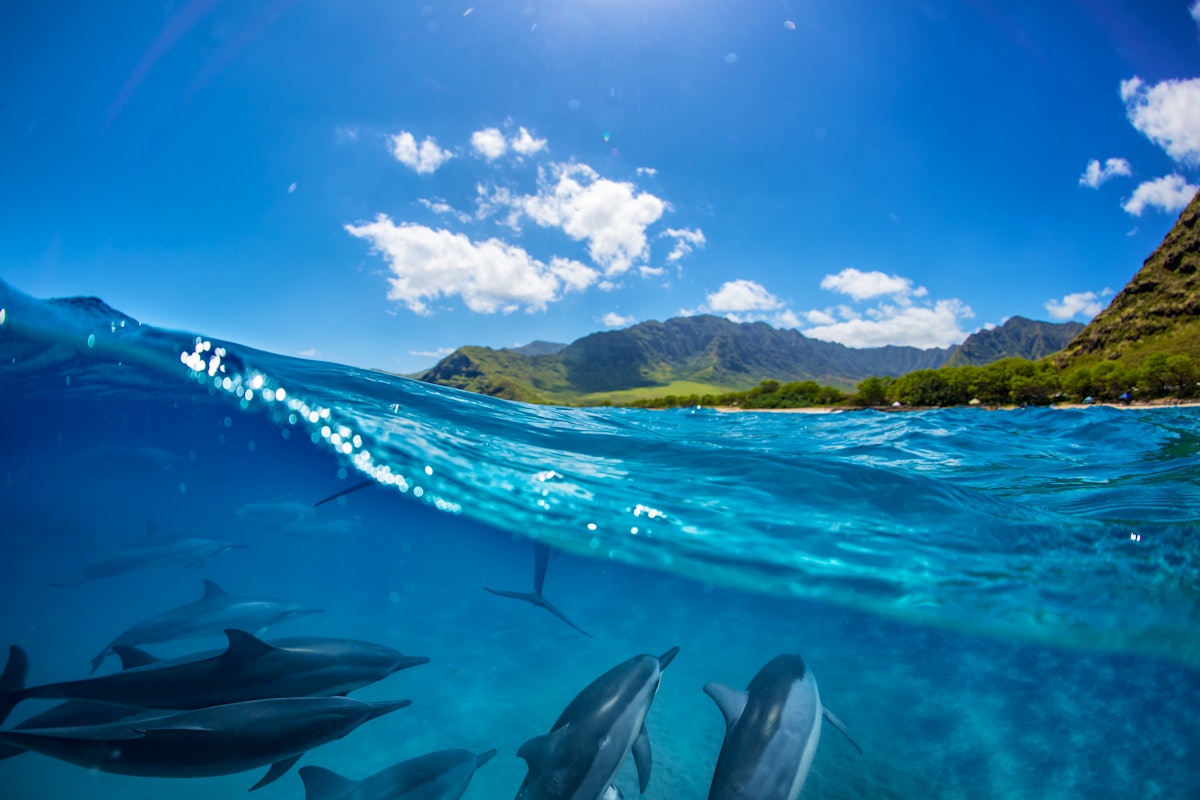 FlightConnections door easyJet