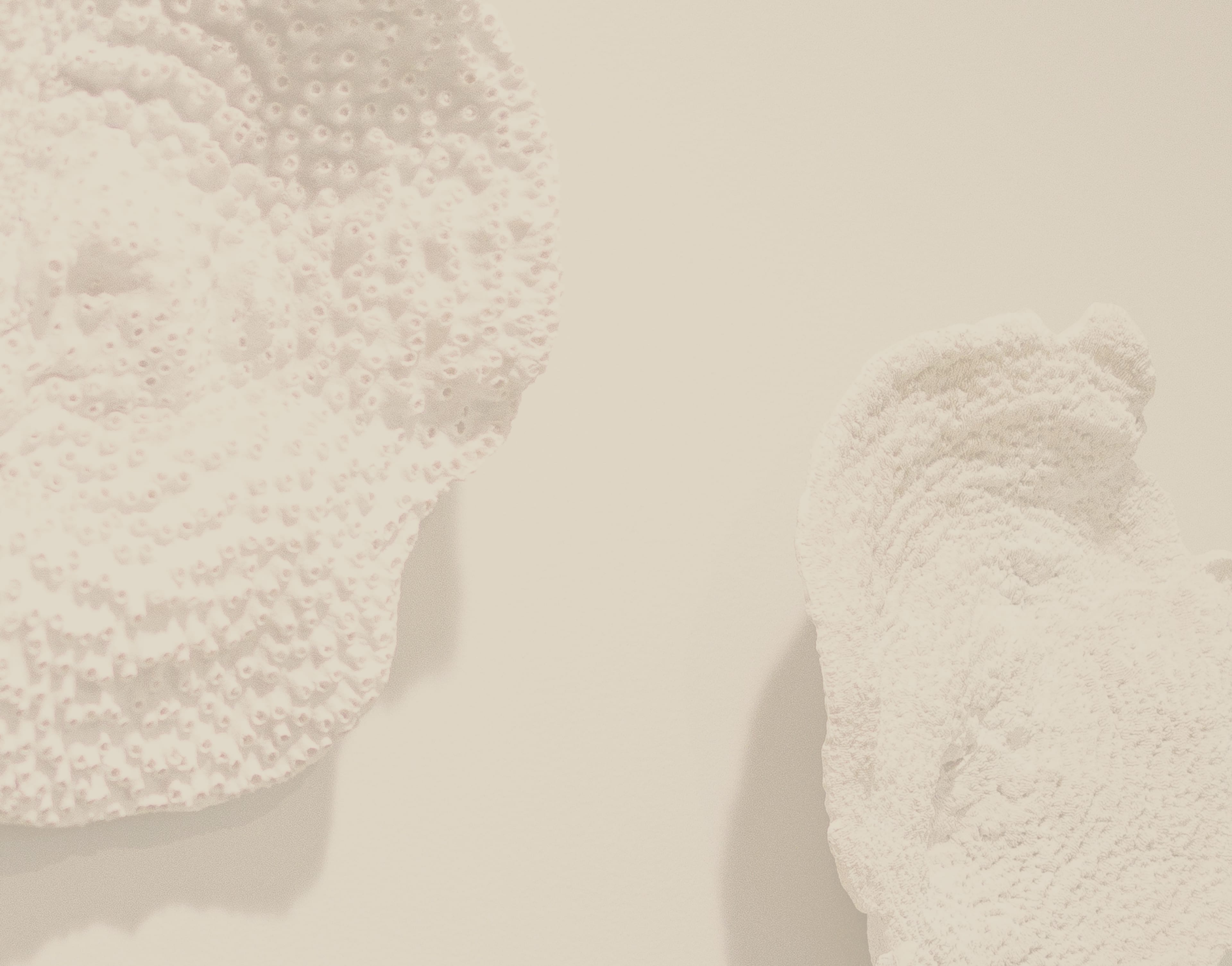 CO2Lift Pro Carboxy Mask in Newport Beach | Dr. Richard H. Lee