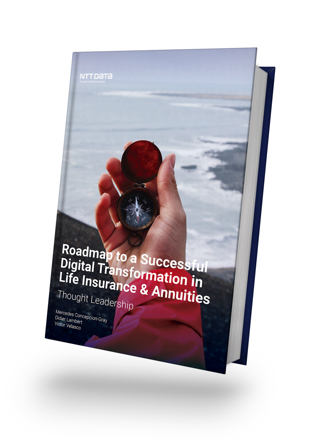 Successful Digital Transformation in Life & Annuities