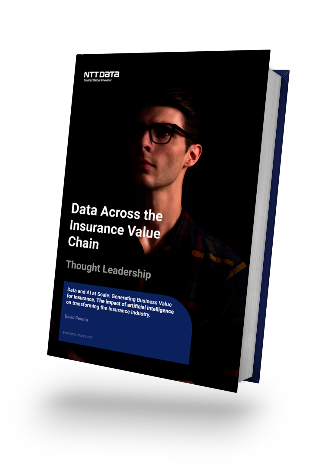 Data Across the Insurance Value Chain | NTT DATA Insurance
