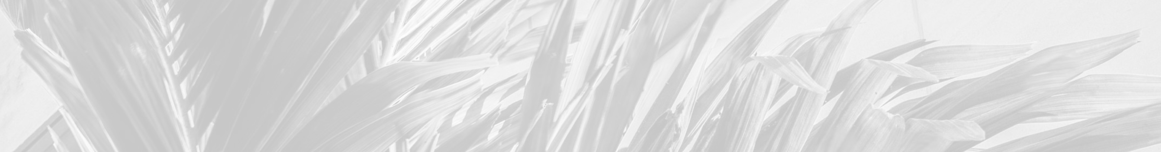 Christopher L. Hess, MD, FACS | Clevens Face and Body Specialists