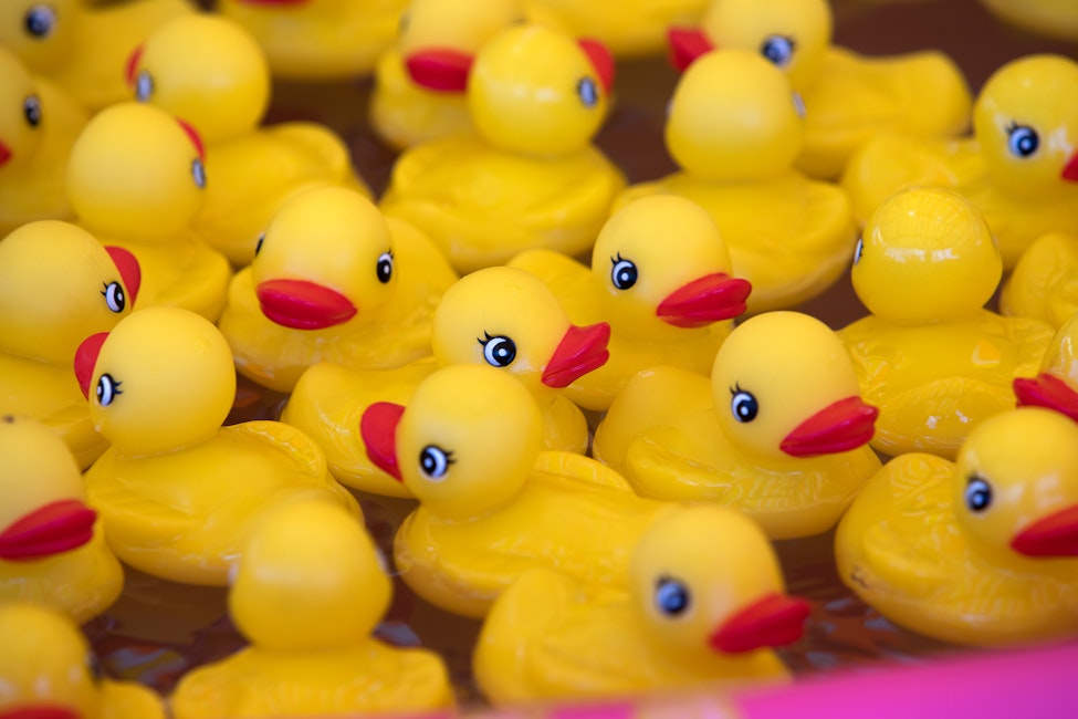 Washington State Spring Fair - April 16-19, 2020