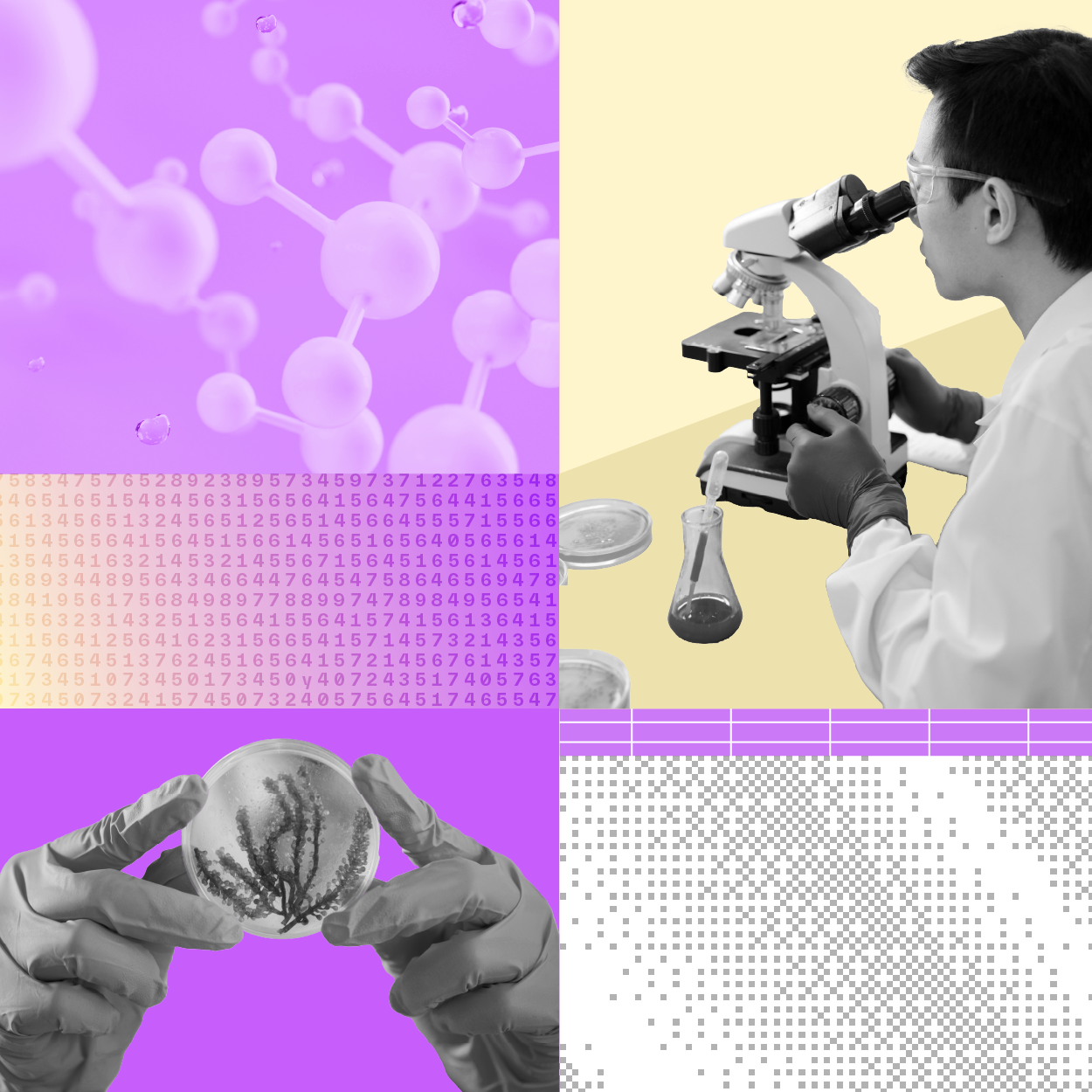 Future-Ready Industries: Life Sciences