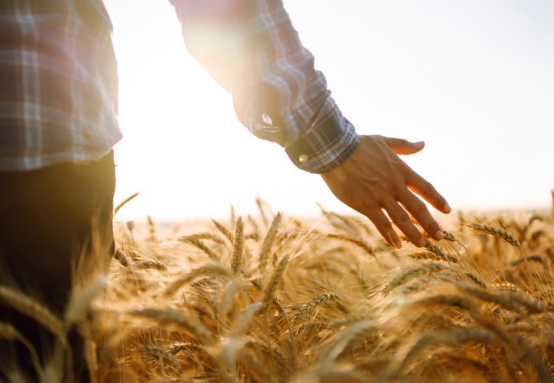 Wound Types | Wound Evolution