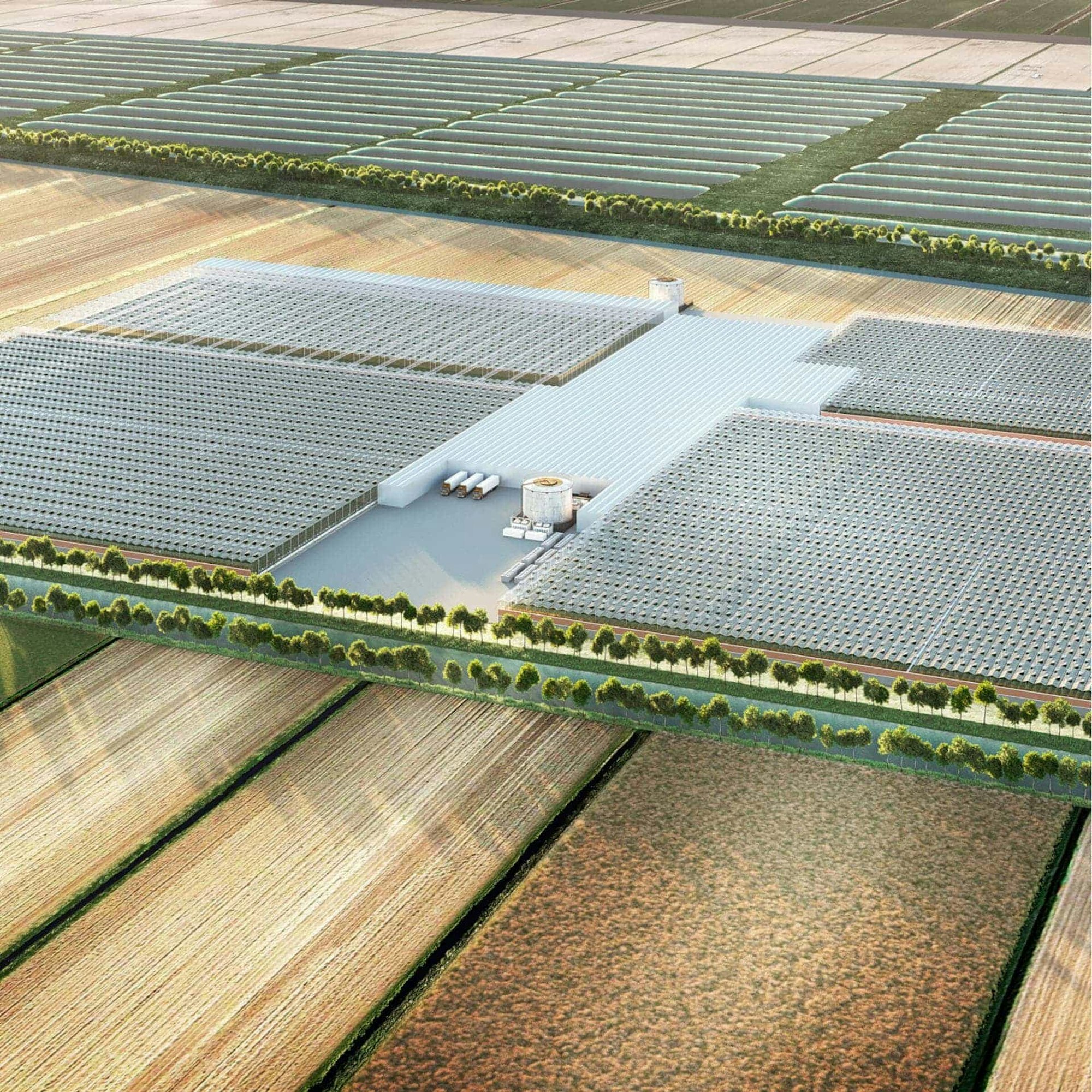 Certhon · Horticulture Brand Revolution · Stuurmen