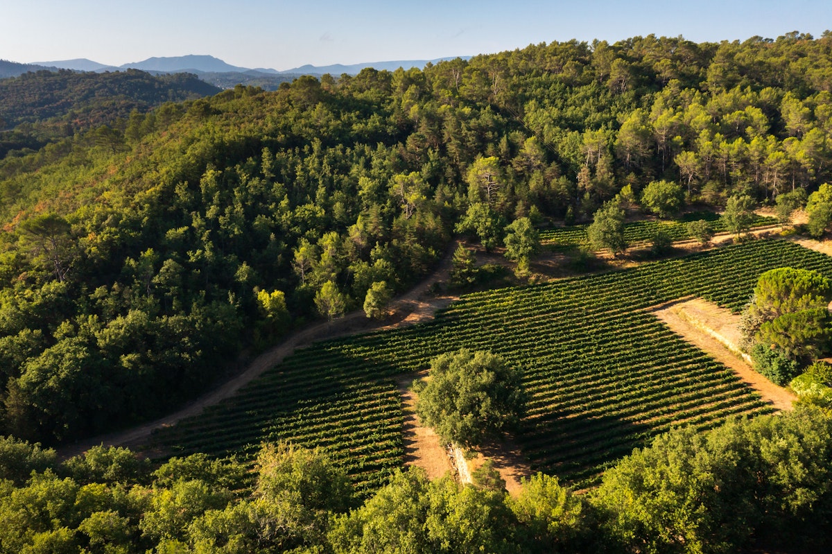 Comment les Vins de Provence vont rythmer notre été