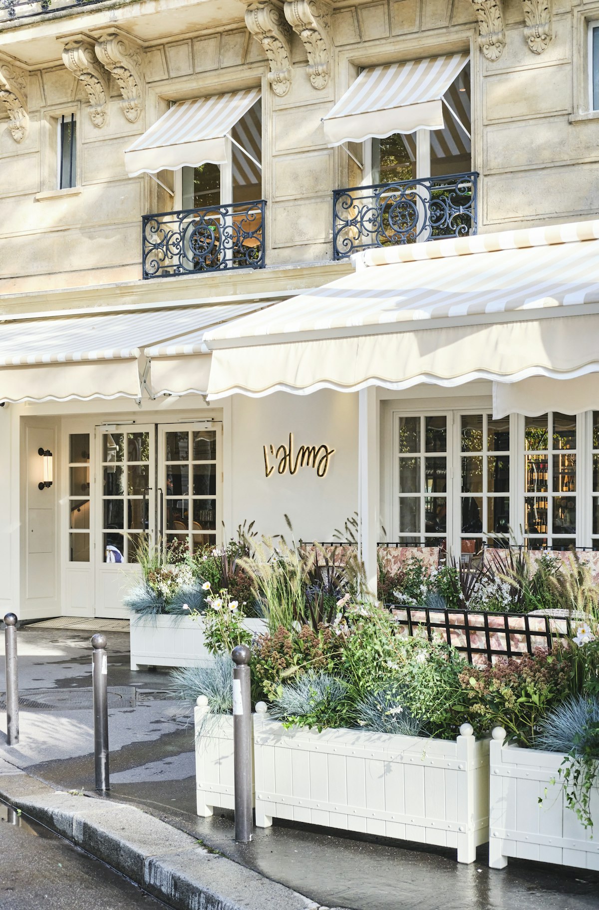 À Paris, Le Café de l'Alma réinvente les codes de la brasserie parisienne