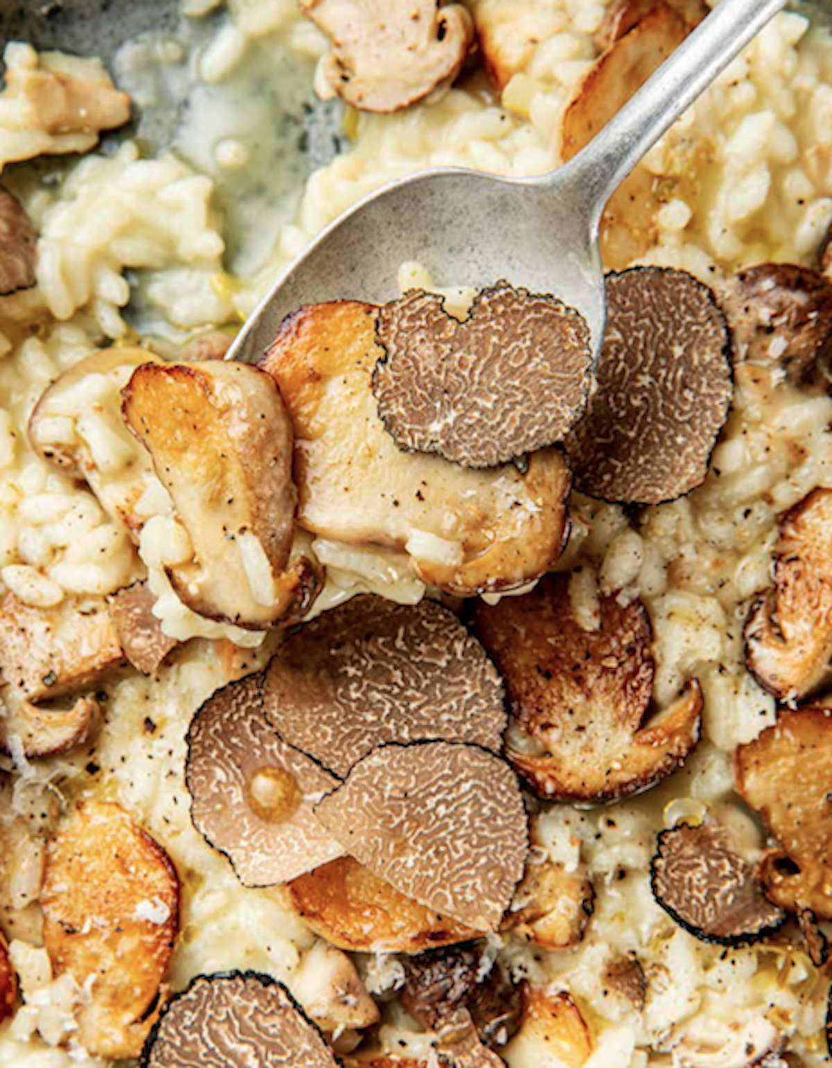 Hoe maak je een perfecte risotto met truffel en eekhoorntjesbrood?