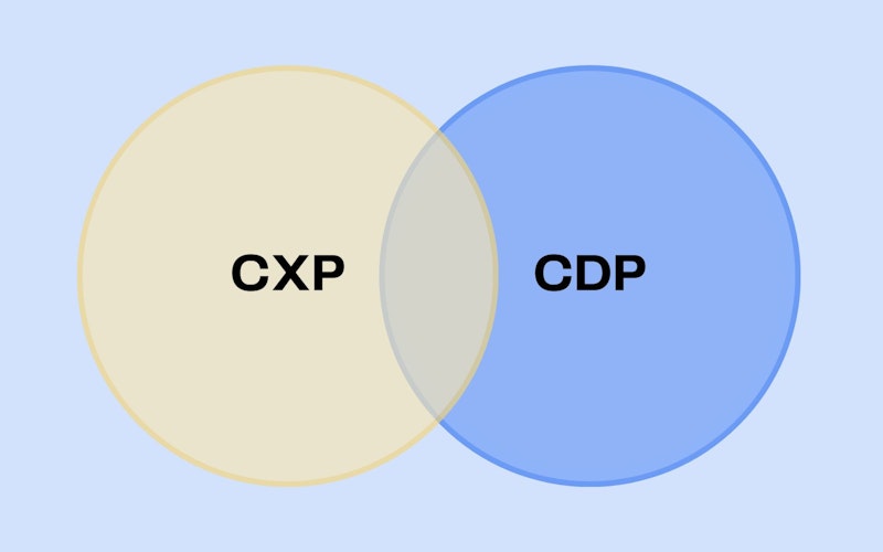 Customer Experience Platform (CXP): definition and best practices