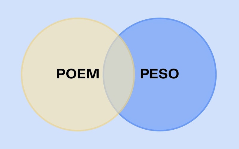 PESO Model: Definition, Examples, and the Role of Data