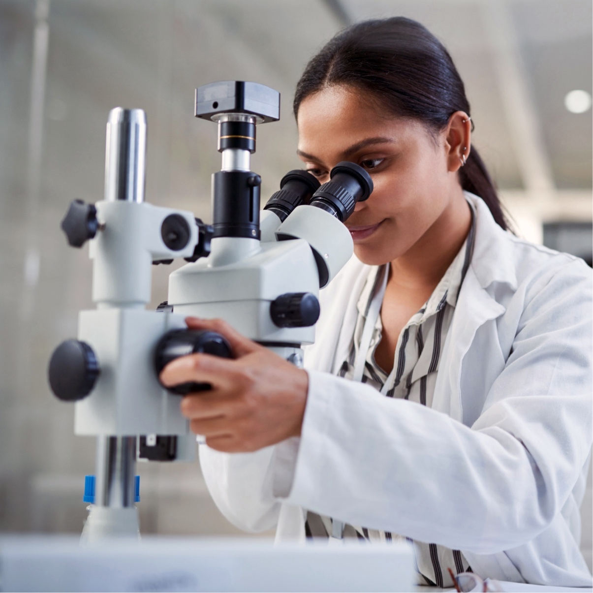 Spark Labs | Toxicology Labs