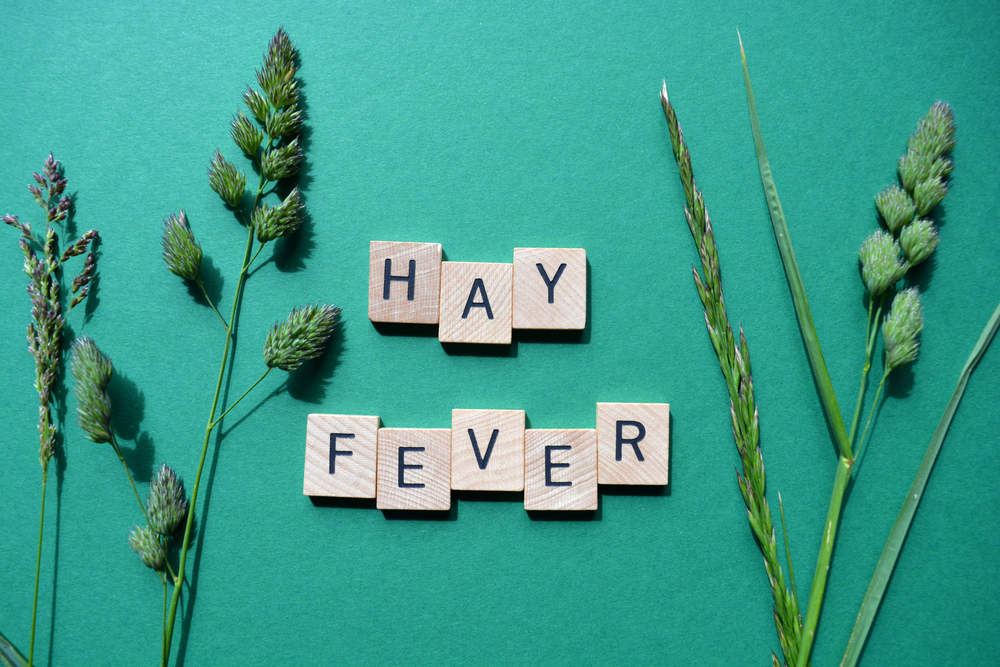 History of Hayfever: Hay Fever Through The Years