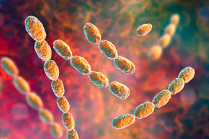 Ulcus molle, der weiche Schanker: Was Sie wissen sollten - DE Medz