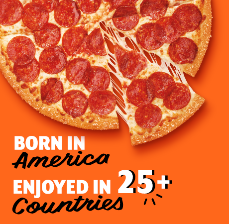 Terms and Conditions