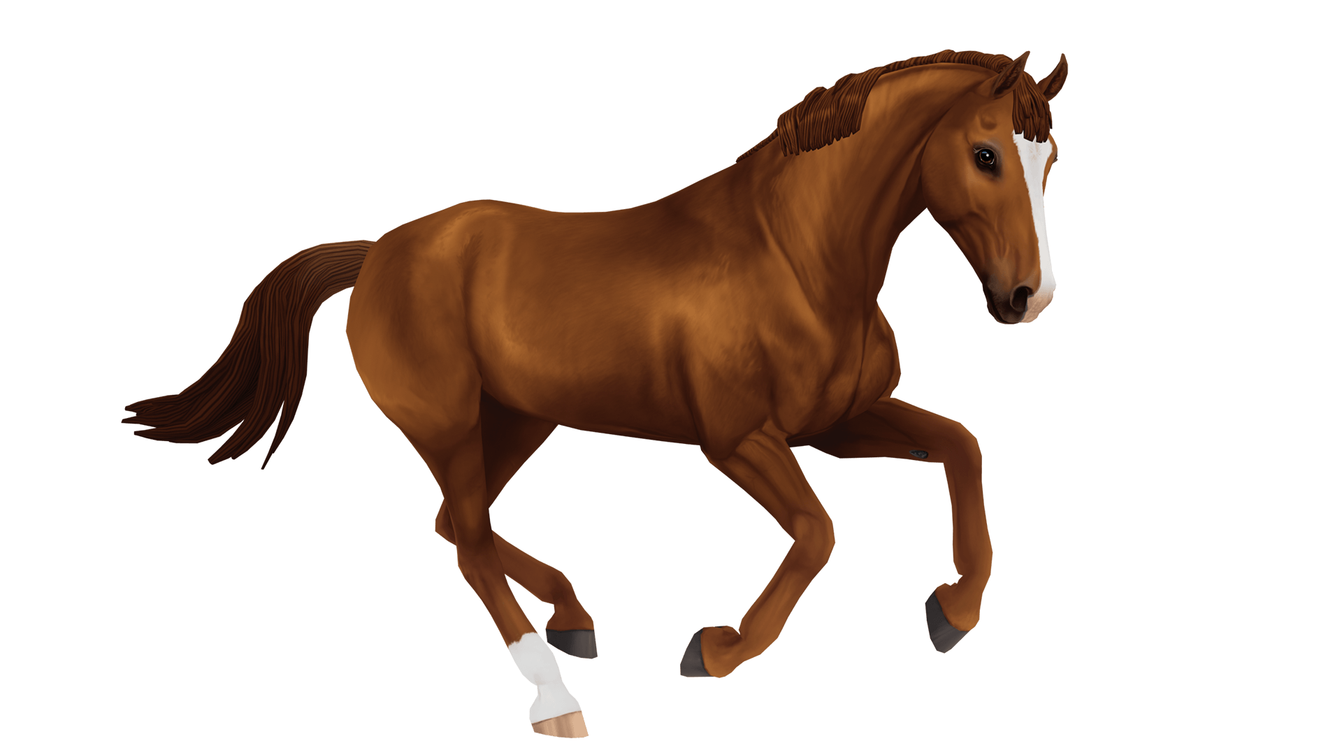Belgian Warmblood – Horse breed of Jorvik | Star Stable