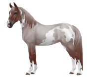 Tennessee Walker Horse Breed Of Jorvik Star Stable