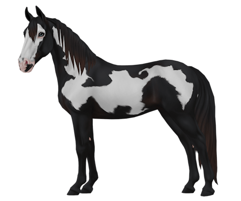 Tennessee Walker | Horse breed | Star Stable Tennessee Walker | Horse breed | Star Stable